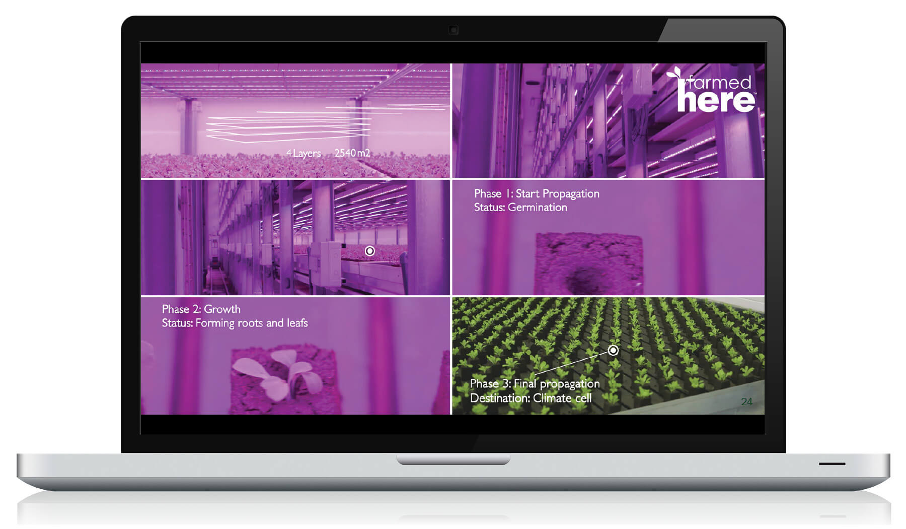 FarmedHere brand revitalization — DoubleTake Design