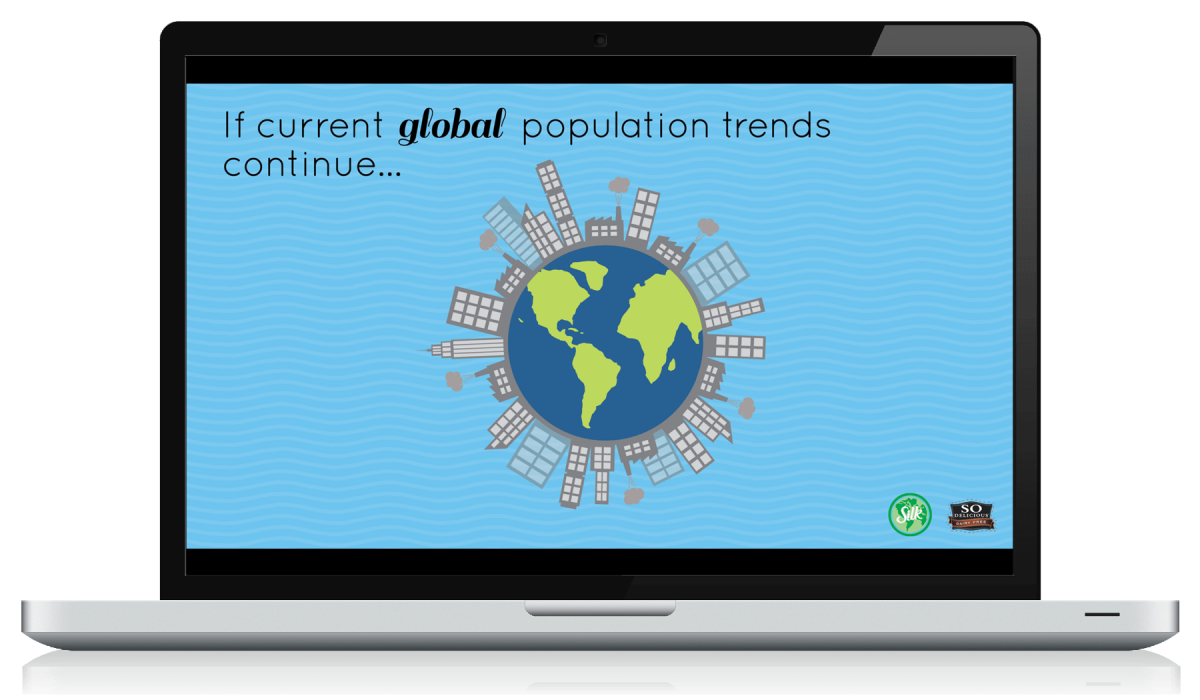 Silk - DoubleTake Design, Inc.