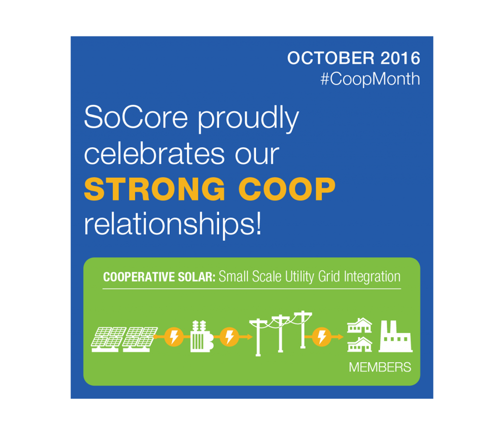 SoCore Energy Brand Revitalization — Website and Marketing Materials